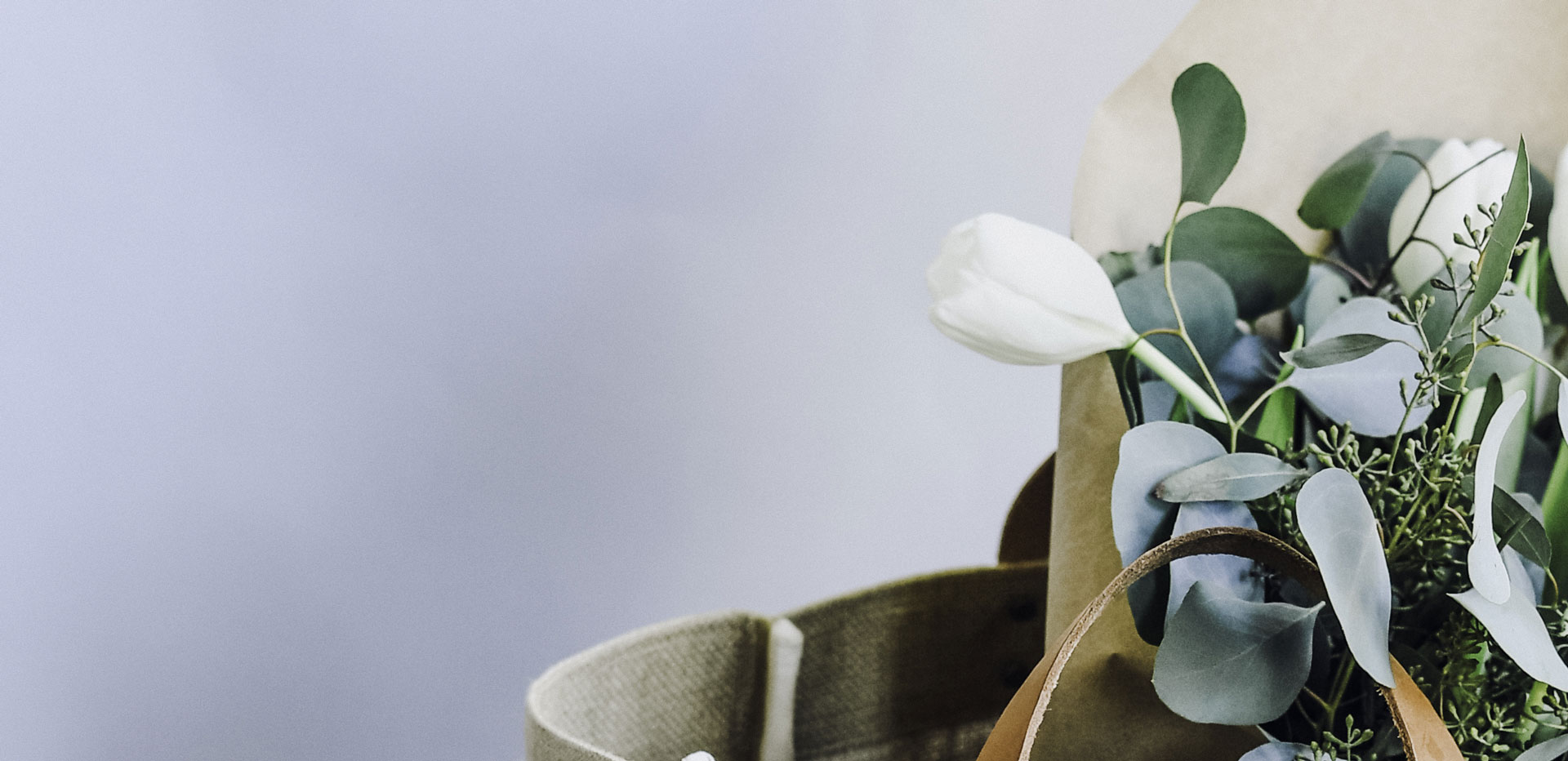 Test post - Hannah Collins Garden Design